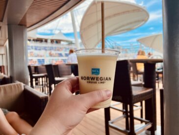 Norwegian Cruise Line Drink Prices and Menus (2026) - Candid Cruise and ...